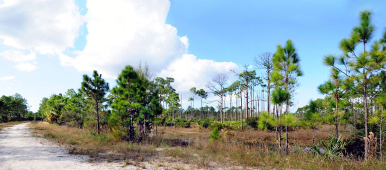 Central Charlotte County Drainage District | Assuring our canals and ...